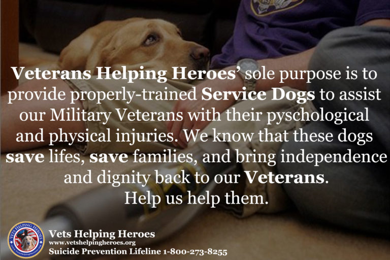 Vets Helping Heroes' sole purpose is to provide properly trained ...